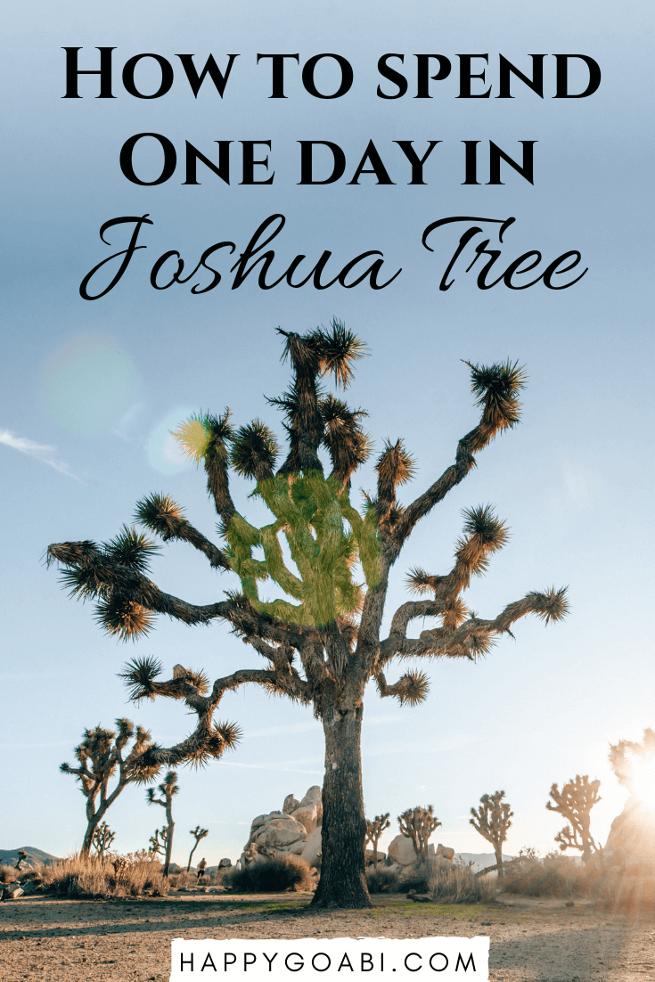 The Ultimate Joshua Tree Day Trip Itinerary: One Day in Joshua Tree ...